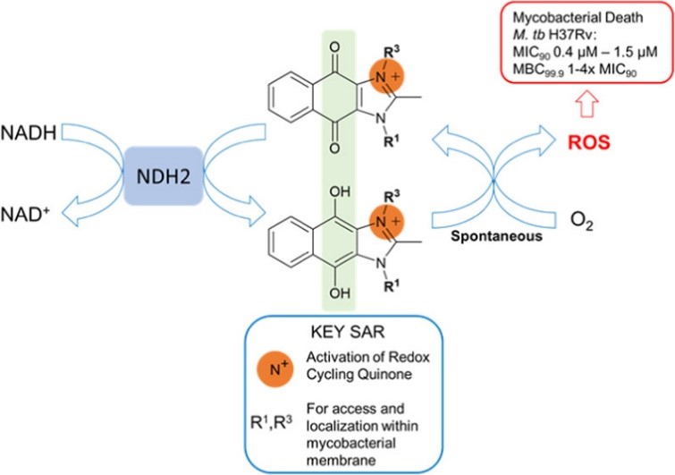 LAM Yulin - NUS Chemistry | NUS Chemistry