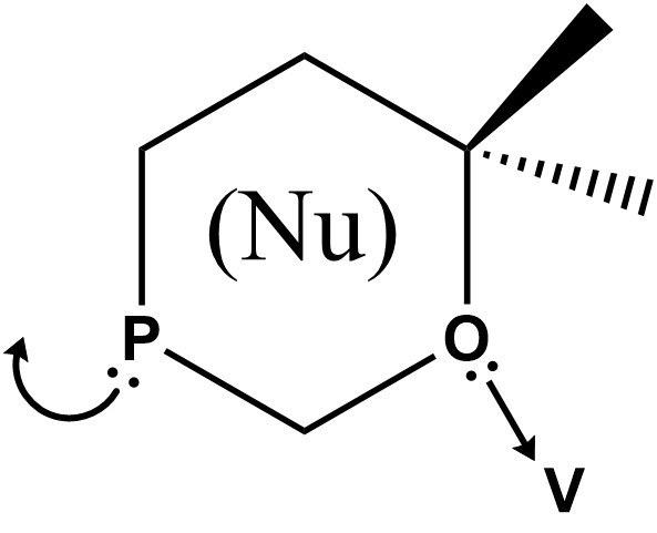 Nucleophile’s Point of View (NuPOV) - NUS Chemistry | NUS Chemistry